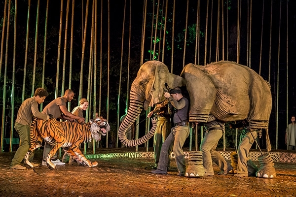 Running Wild | Open Air Theatre