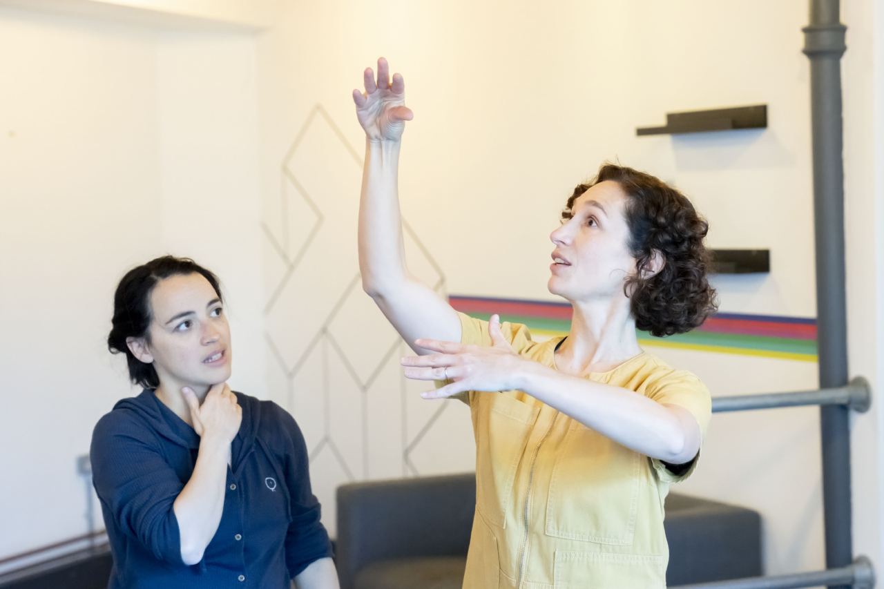 The Enormous Crocodile | Open Air Theatre